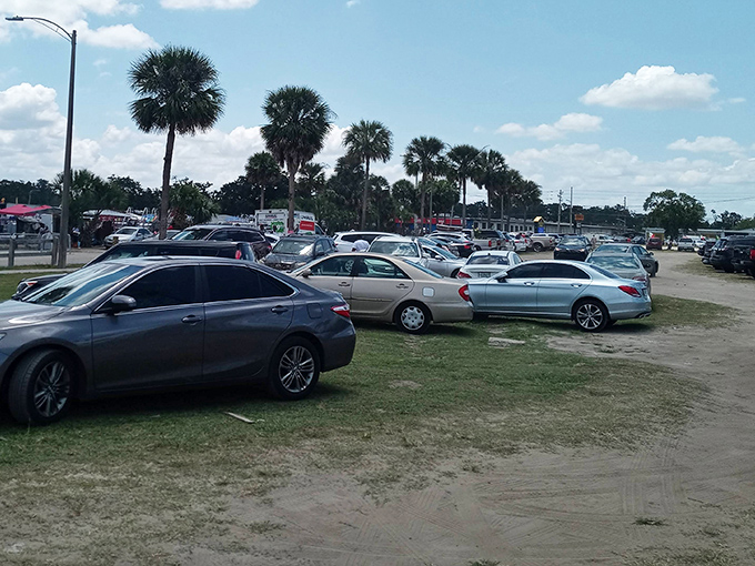 The parking lot on a busy Saturday looks like half of Central Florida had the same brilliant idea simultaneously.