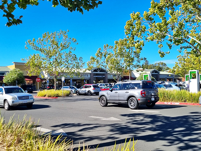 The parking lot&mdash;final resting place of empty wallets and home to the eternal question: "Where did I park again?"