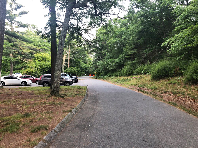 The parking area&mdash;where civilization ends and your real Massachusetts adventure begins. Leave your worries in the cupholder.