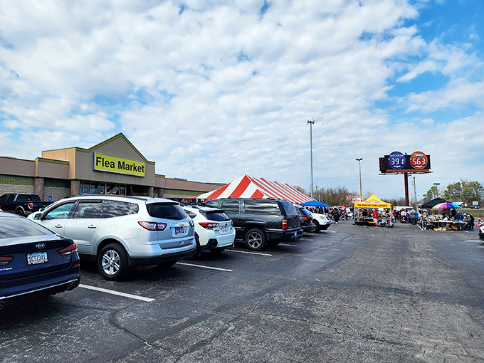 Weekend warriors filling the lot by 10am. The early bird gets the vintage vinyl, as they absolutely never say but absolutely should at flea markets.