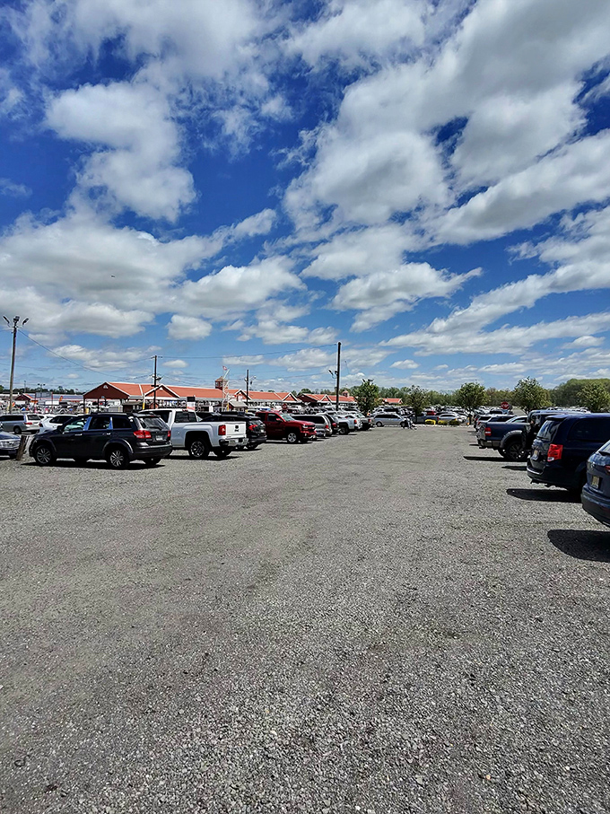 A sea of vehicles under Jersey skies. Each parked car represents someone inside hunting for that perfect find.