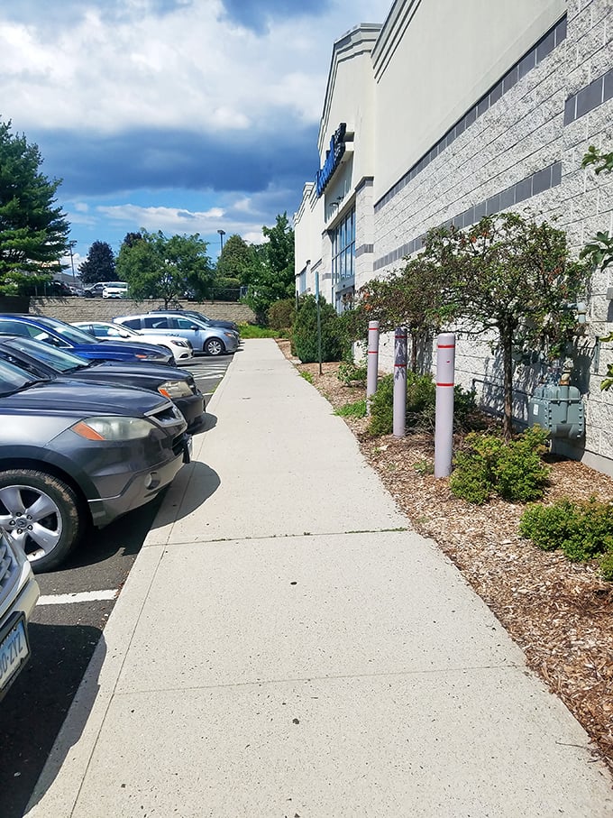 Even the parking lot feels optimistic, with Connecticut skies promising good fortune. Your car waits patiently, unaware it'll soon be stuffed with newfound treasures.