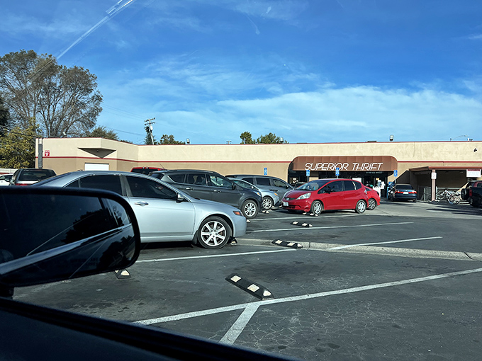 A packed parking lot tells the true story &ndash; Superior Thrift isn't just a store, it's a destination. Treasure hunters come prepared for the long haul.