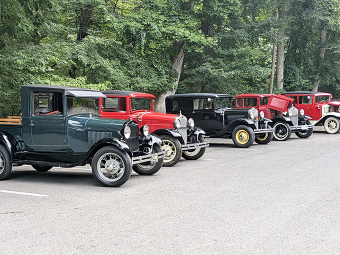 Classic cars lined up like proud grandpas at a family reunion, each with stories that begin with "Back in my day..."
