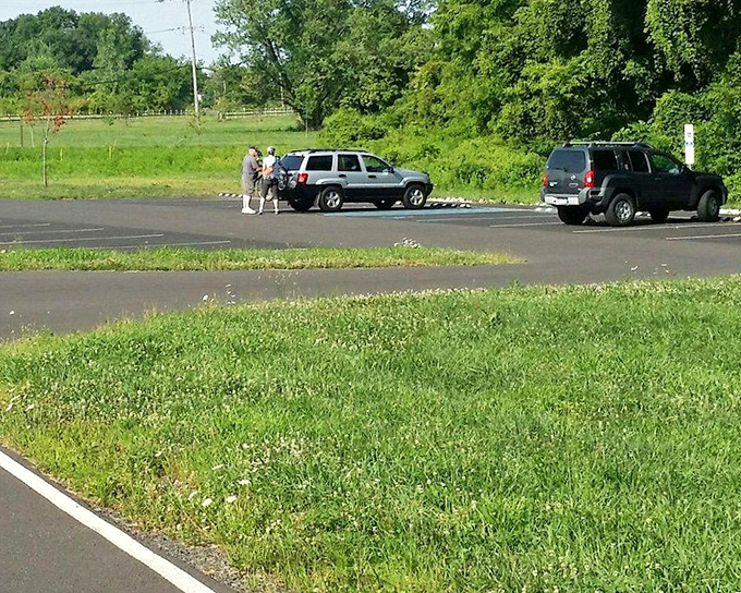 The parking area&mdash;where urban life pauses and park adventures begin, that transitional space between everyday routine and natural discovery.