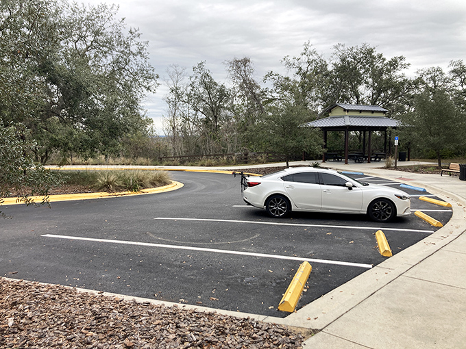 Even the parking area offers a preview of the natural beauty awaiting visitors. Your car gets front-row seats to the show.