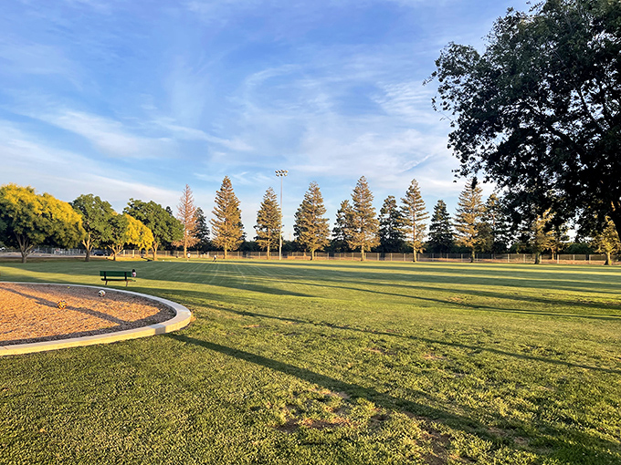 Patterson Sports Complex's emerald expanse invites both serious athletes and Sunday strollers&mdash;a community gathering place where everyone belongs.