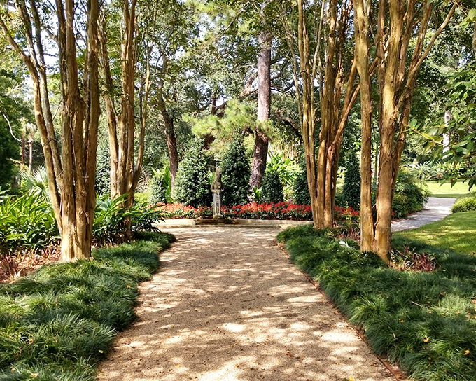 A path that promises adventure with every step. Dappled sunlight plays hide-and-seek through the trees, creating nature's own light show.