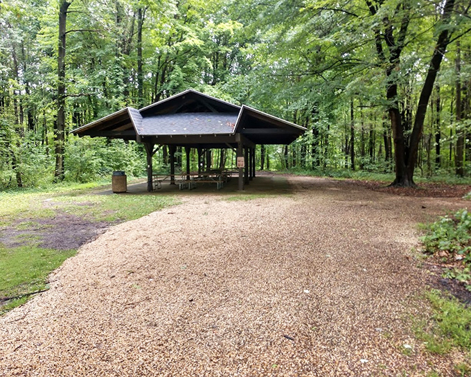 This woodland pavilion offers shelter from both rain and cellphone signals &ndash; the perfect setting for family reunions or escaping family reunions.