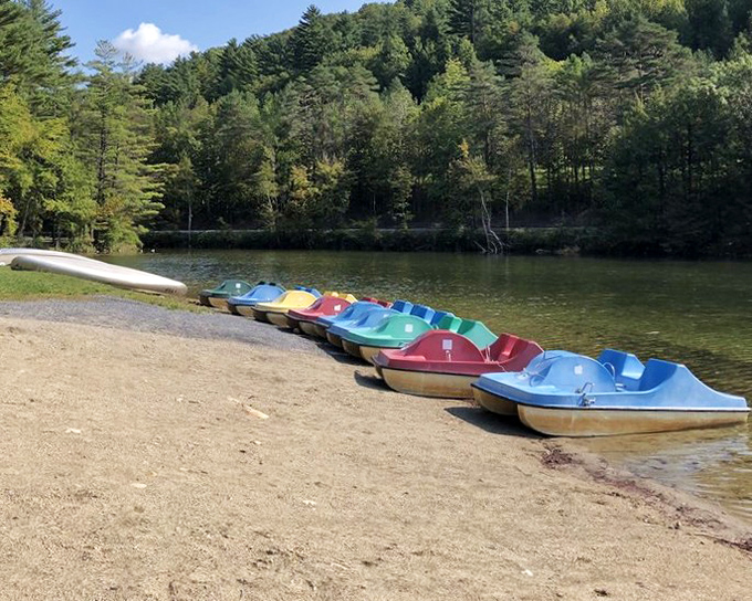 The paddle boat navy awaits your command. Choose your color and prepare for the most leisurely adventure of your vacation.