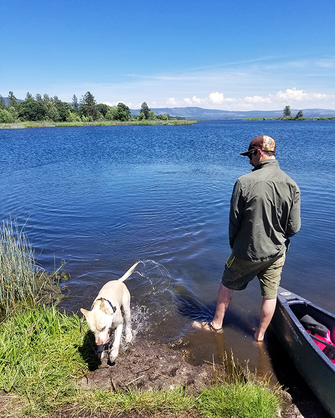 Man's best friend discovers the joy of shoreline exploration while his human contemplates the simple pleasure of feet in cool water.