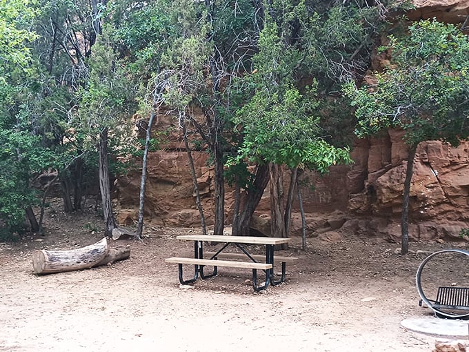 Picnic spots backed by red rock walls turn lunch into an event worth actually leaving your house.