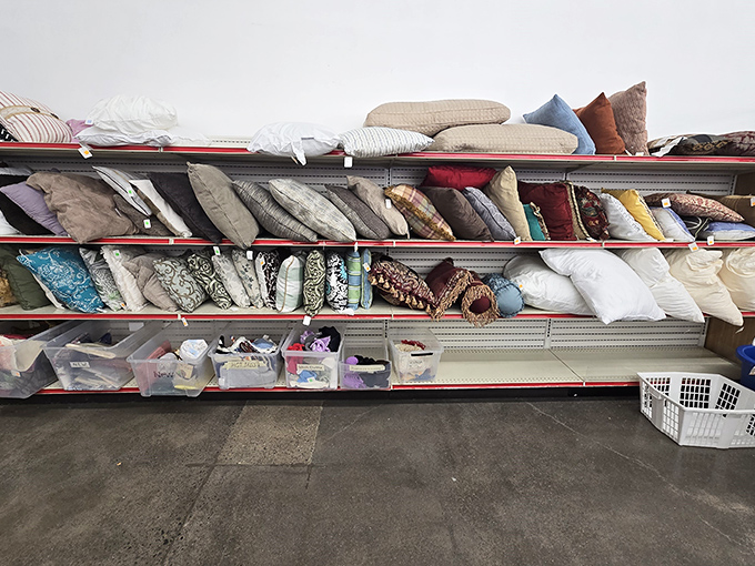 Pillow paradise where comfort meets thrift store prices, because everyone deserves a good night's rest.