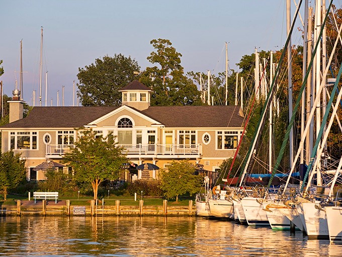 Sailboat masts create a forest of vertical lines against the sky, a reminder that in Annapolis, the water is always calling.