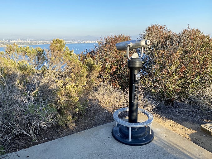 This viewfinder might be the best quarter you'll ever spend in San Diego&mdash;panoramic ocean views without having to squint or pretend you brought binoculars.