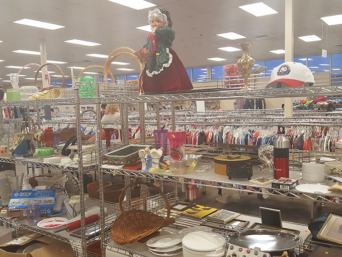 Holiday decorations and household items create a delightfully chaotic display that somehow makes perfect sense for thrift shopping.