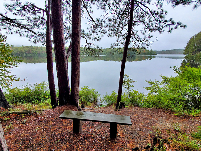 The best therapy session costs nothing: one bench, one view, zero notifications, and all the time you need.