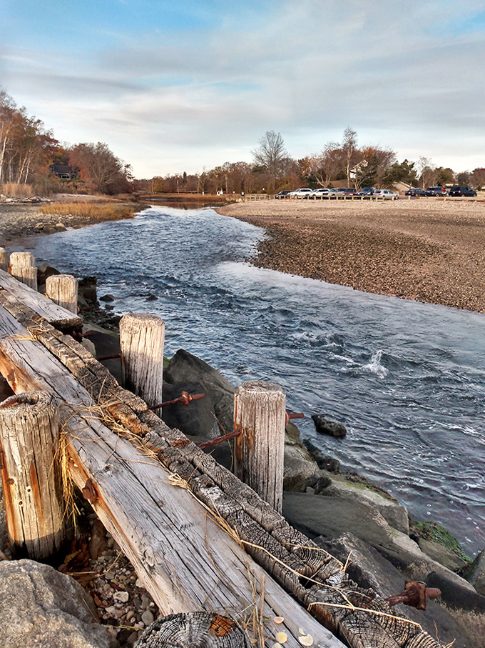 Where freshwater meets salt in a daily dance as old as time itself &ndash; the tidal inlet creates a constantly changing shoreline canvas.
