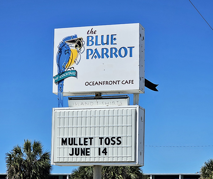 That iconic blue parrot sign against the Florida sky—a beacon for hungry travelers and a promise that island time officially begins here.