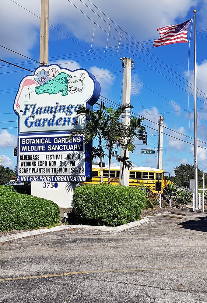 Flamingo Gardens announces itself to the world. The roadside sign promises botanical wonders and wildlife encounters just beyond those palm trees.