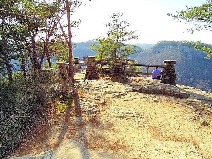 Nature's observation deck offers the kind of panoramic views that make smartphone cameras feel woefully inadequate and retirement decisions suddenly crystal clear. 