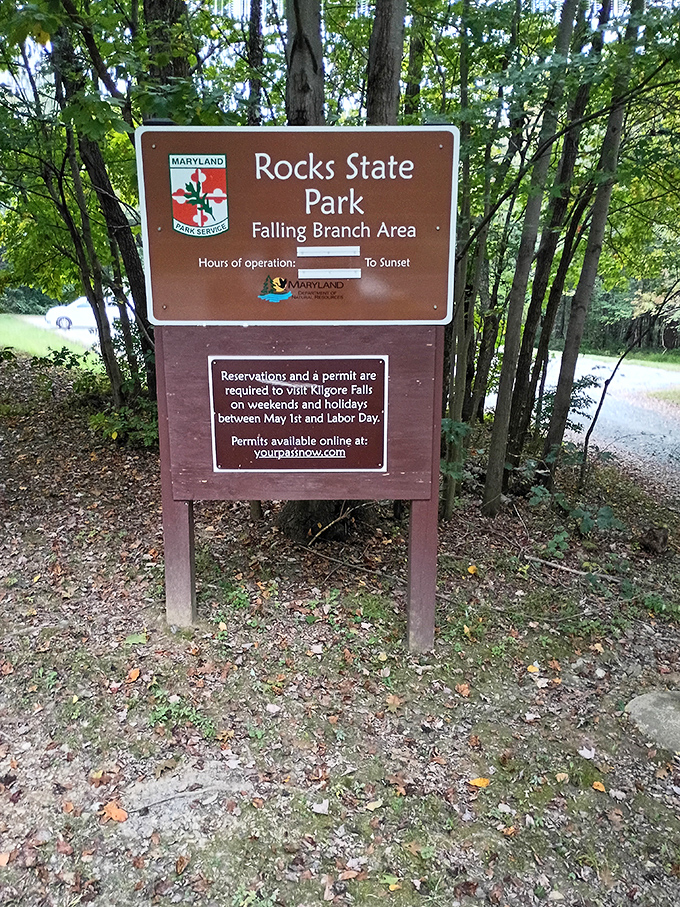 The sign says "Falling Branch Area," but what it really means is "Maryland's second-highest waterfall is worth the hike ahead."