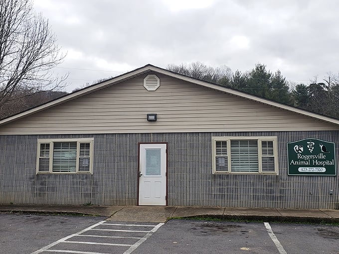 Even the animal hospital in Rogersville has that no-nonsense charm that says, "Your pets are in good hands with folks who probably also know your grandma."