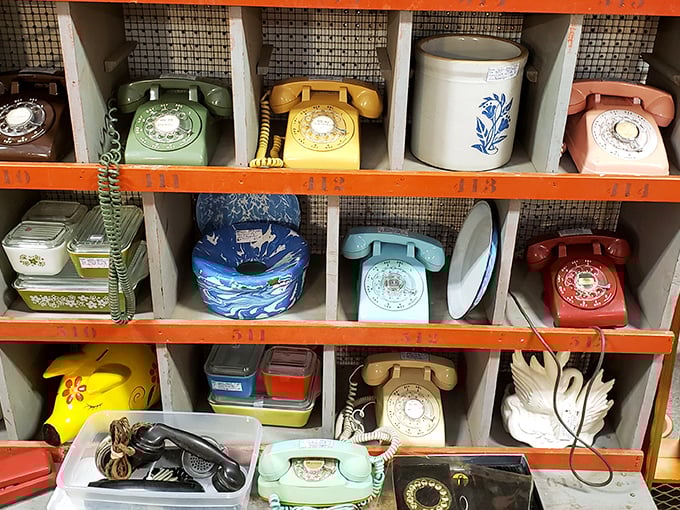 The rainbow of rotary phones that once connected America. Before smartphones, these colorful beauties were our portals to the world.