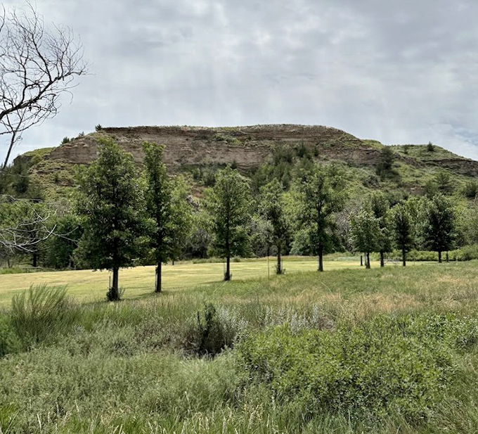 These sandstone bluffs have been standing longer than your favorite classic rock band &ndash; and they're aging better too.