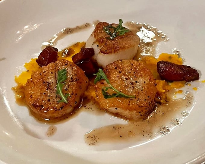 Scallops seared to golden perfection, arranged like edible jewelry on a canvas of sauce that would make even non-seafood lovers reconsider their life choices.