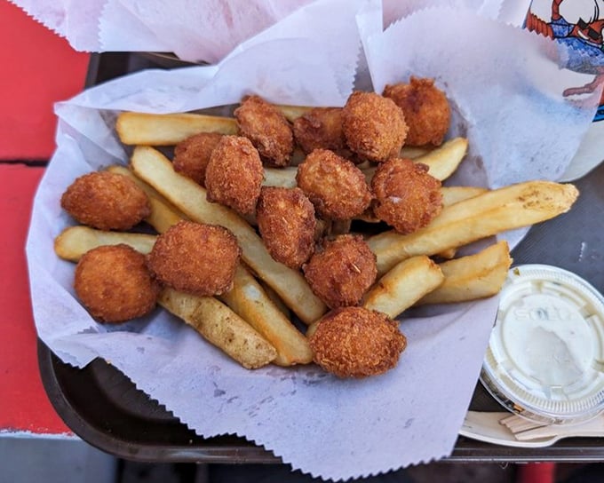 Golden-fried scallops nestled among fries—little ocean jewels transformed by hot oil into crispy-outside, tender-inside bites of happiness.