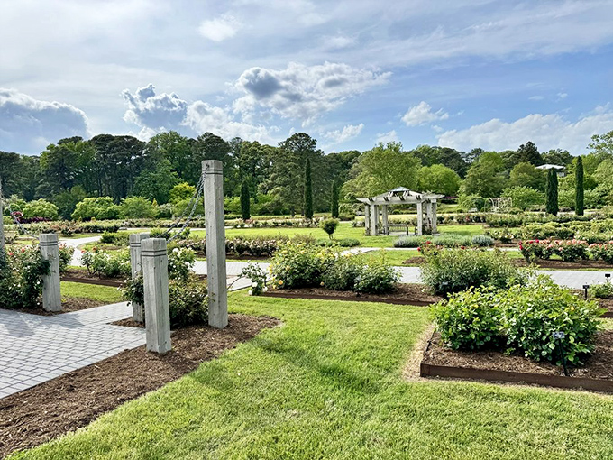 Formal garden design with a contemporary twist. Those columns stand like botanical sentinels guarding beds of seasonal blooms.