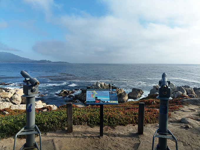 Take a closer look at infinity. These viewfinders offer magnified glimpses of the coastline's secrets – from sea otters to distant whale spouts.