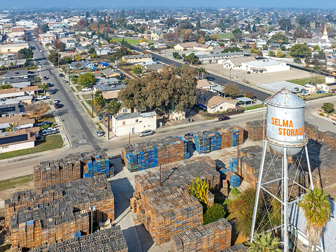 From above, Selma reveals its perfect positioning in California's agricultural heartland, complete with the iconic water tower standing sentinel.