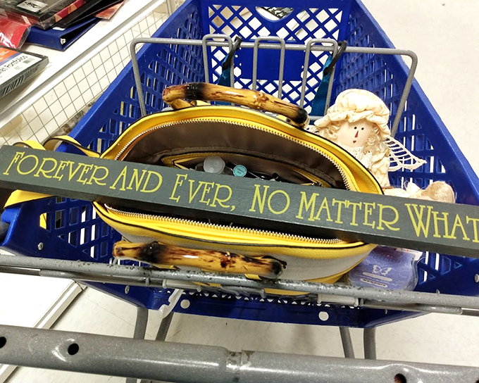 Someone's shopping cart reveals the beautiful randomness of thrift hunting&mdash;plans abandoned, serendipity embraced, treasures claimed.