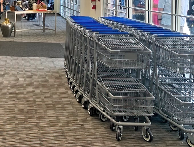 The chariots await your bargain-hunting expedition &ndash; grab one quickly, because in the thrift store Olympics, cart selection is the first event.