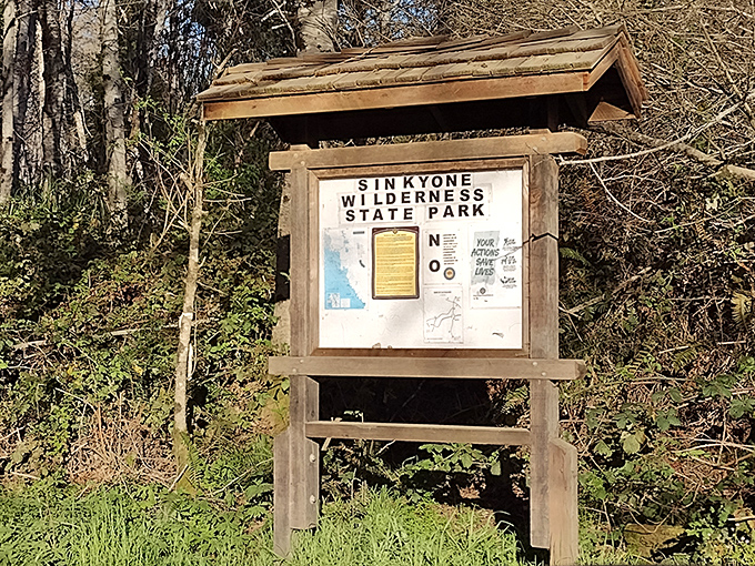 Trail markers point toward adventures where getting gloriously lost is half the fun and all the point.