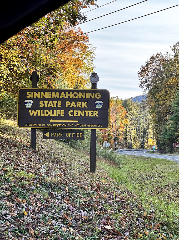 The park entrance sign stands as a promise of adventures to come, like the opening credits to your own personal nature documentary.