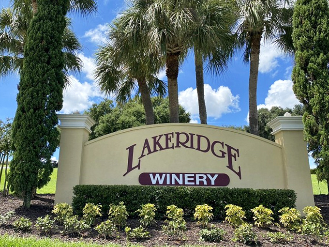 The entrance sign stands like a promise of good things to come, palm trees swaying as if to say, "Yes, Florida makes wine. Deal with it."