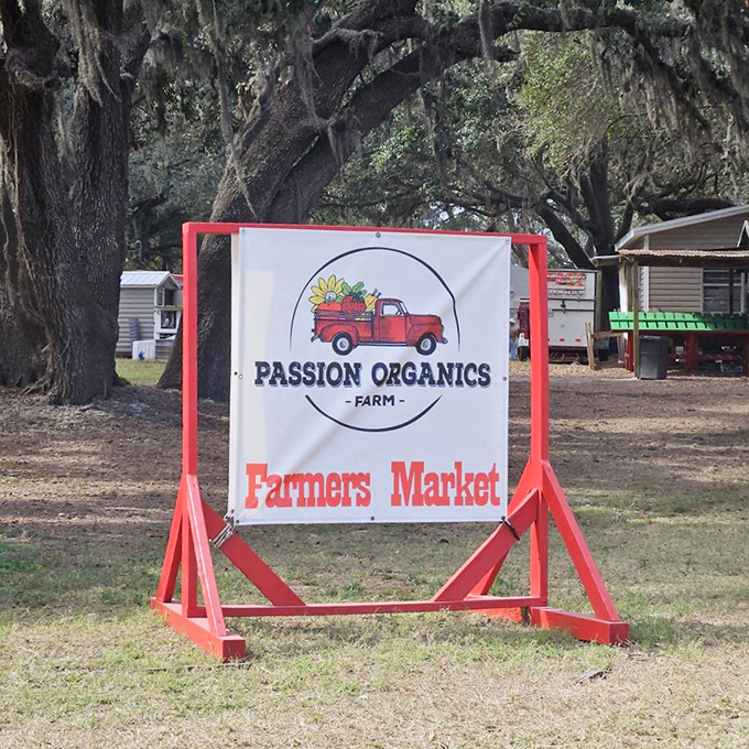 Spanish moss drapes over ancient oaks surrounding the Passion Organics Farm sign, nature's way of framing this slice of agricultural paradise.