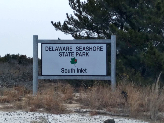 Sometimes the simplest signs point toward the most extraordinary adventures waiting just beyond the parking lot.