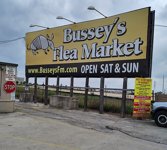 The armadillo-adorned beacon that guides bargain hunters to paradise. Bussey's sign promises weekend adventures for the wallet-conscious explorer.