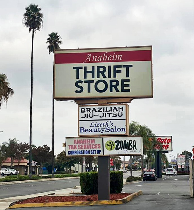 Under those iconic California palms, the sign beckons like a lighthouse for the budget-conscious shopper navigating retail waters.