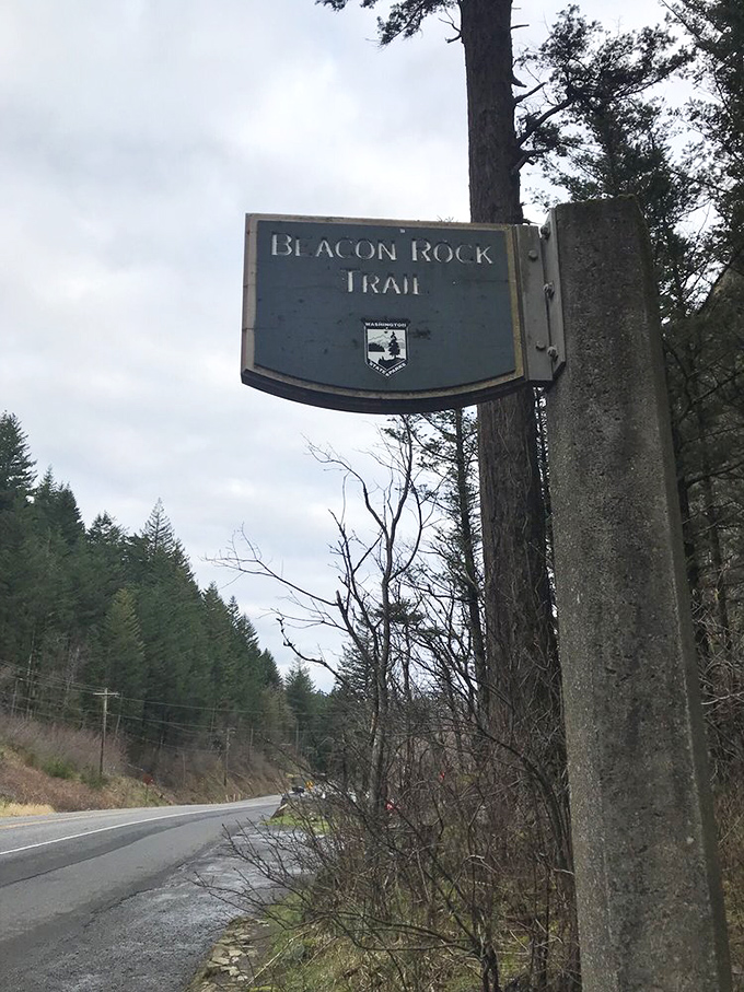 That official Beacon Rock Trail sign marks the beginning of your ascent to spectacular views and bragging rights worth every single step.