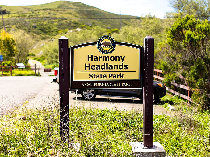 The unassuming entrance sign marks the boundary between ordinary roadside and extraordinary coastal wilderness waiting to be explored.