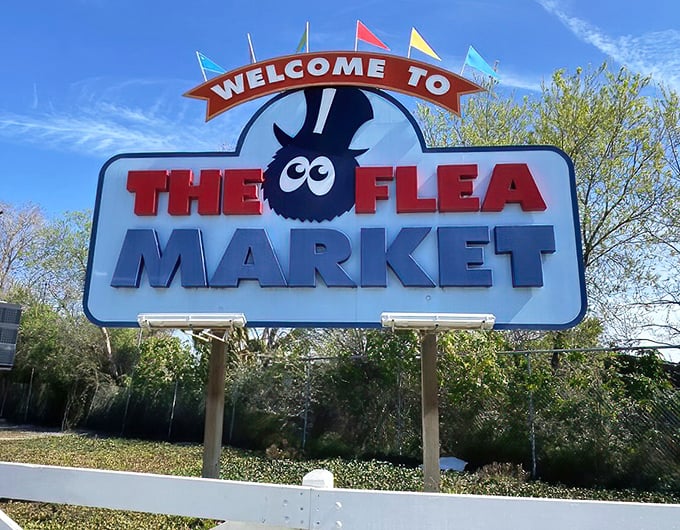 The happiest flea you'll ever meet welcomes you to retail wonderland. This charming mascot has witnessed countless treasure hunts and taco triumphs through the years.