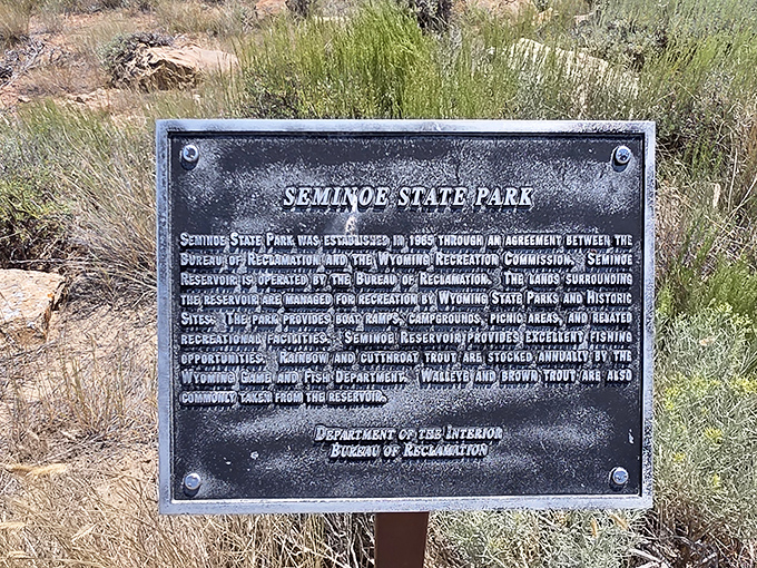 The official welcome to Wyoming's hidden gem. Like finding the instruction manual to paradise, complete with fishing tips and camping coordinates.