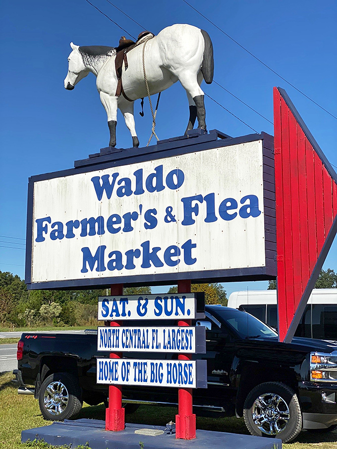 You've found Waldo! The iconic white horse stands sentinel over this bargain hunter's paradise, beckoning roadtrippers from miles away.