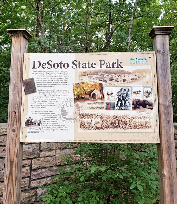 History meets nature at this informative signpost—proof that sometimes the most enriching entertainment doesn't require a Wi-Fi connection.