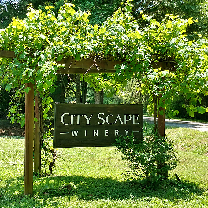 Not all who wander are lost&mdash;especially if they've spotted this vine-covered sign pointing the way to vinous adventure.